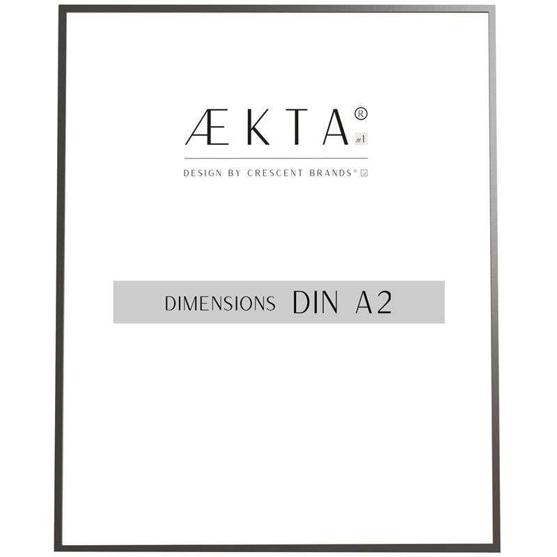Cadre alu AEKTA - Argent Matt - Pour format A2 (42x59,4cm)